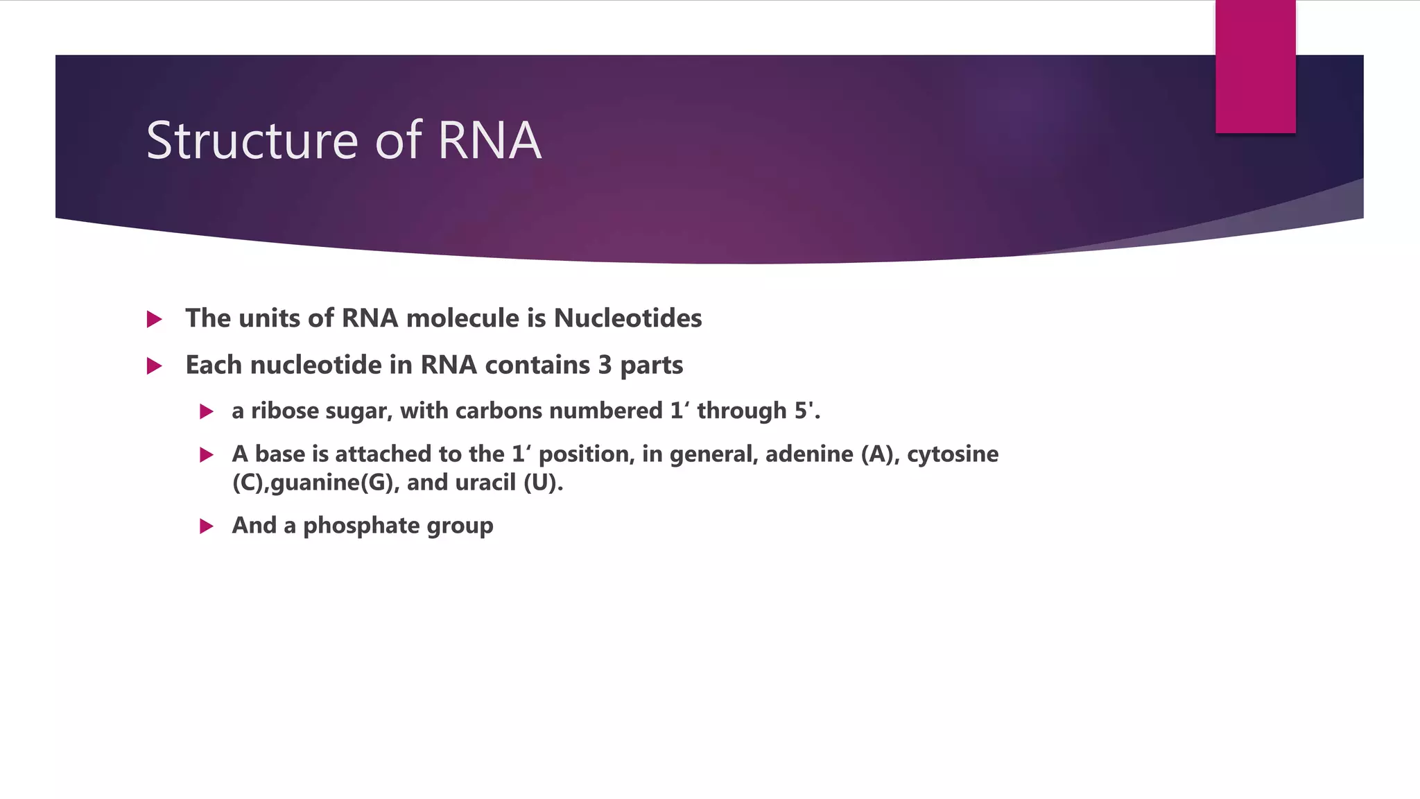Ribonucleic Acid (RNA) | PPTX