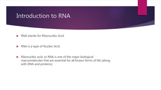 Ribonucleic Acid (RNA) | PPTX