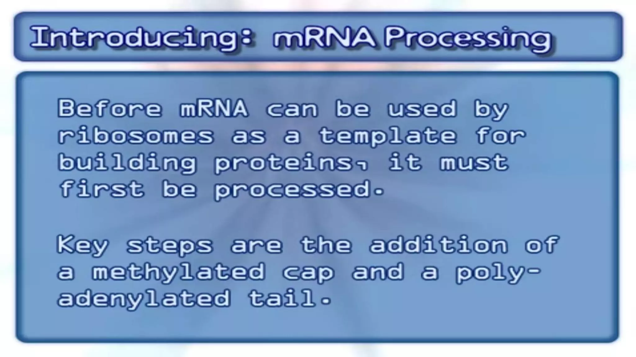 RNA (Structure, Synthesis and mRNA Processing) | PPTX