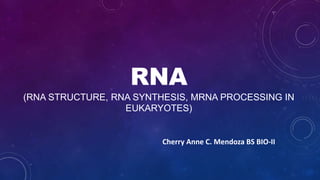 RNA (Structure, Synthesis and mRNA Processing) | PPTX