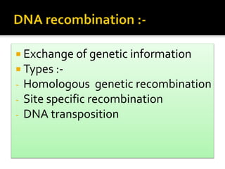 DNA recombinant | PPT