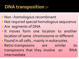 DNA recombinant | PPT