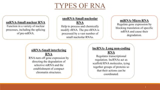 Rna | PPTX