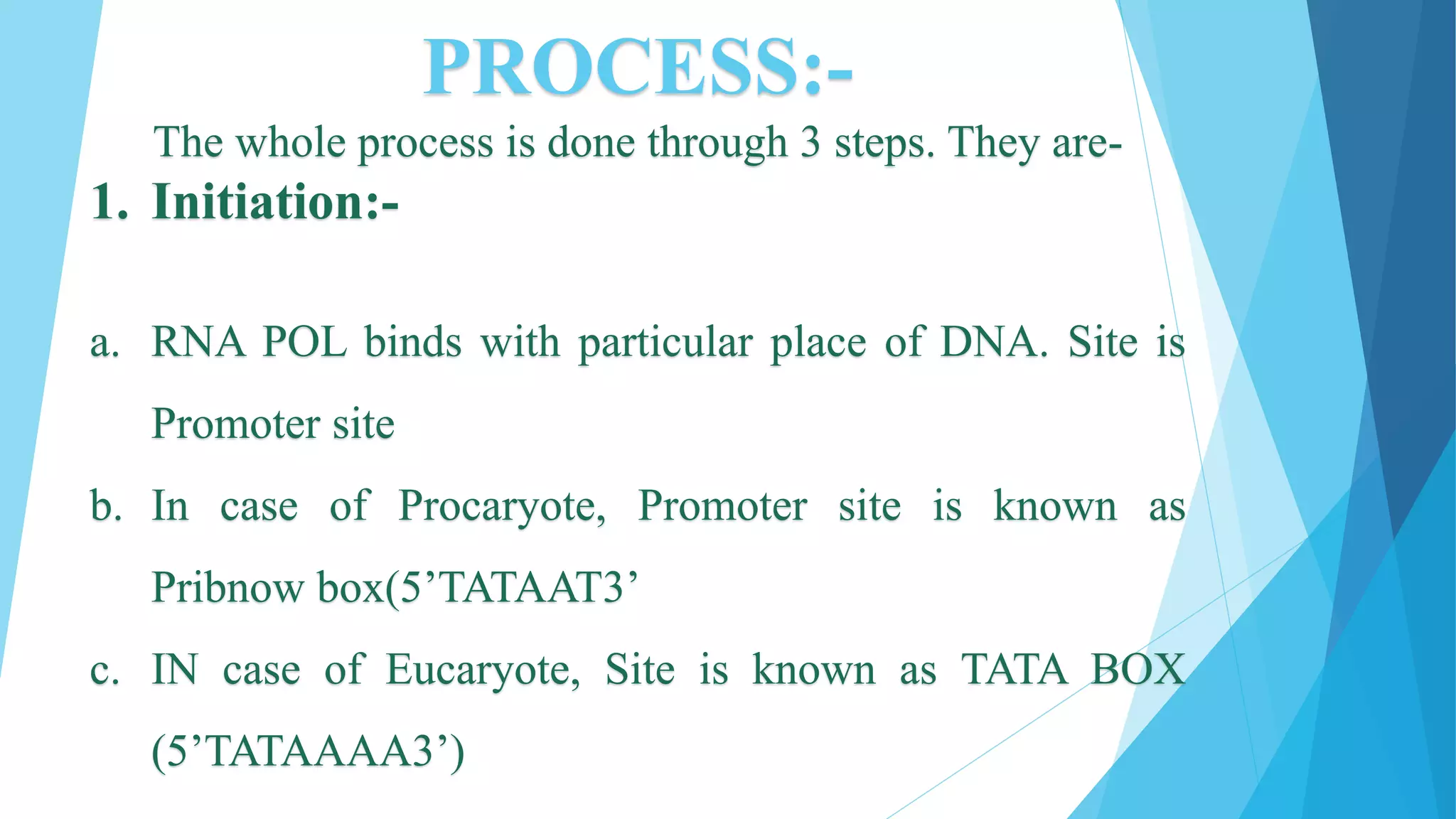 RNA Transcription.pdf