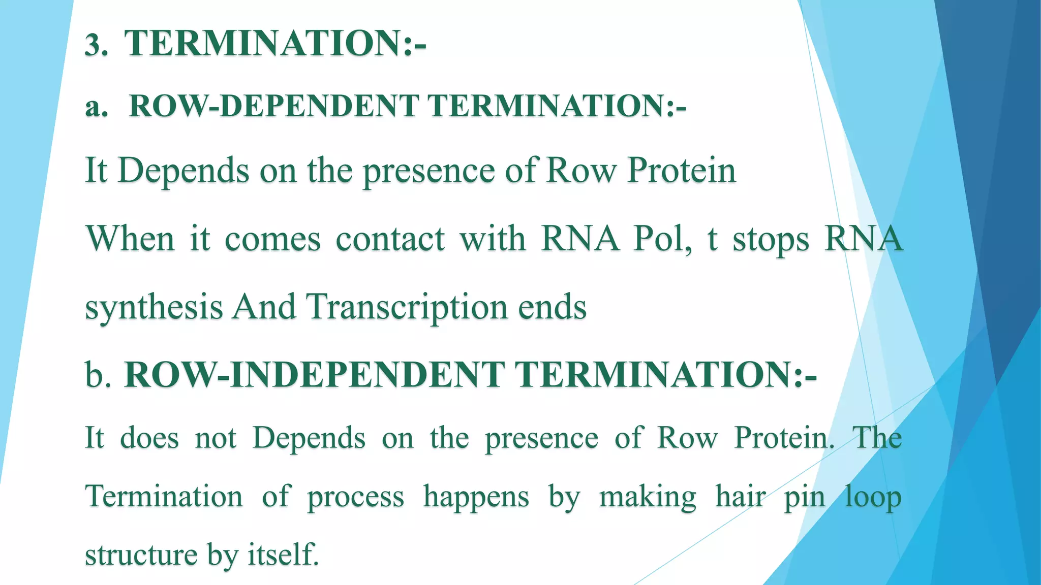 RNA Transcription.pdf