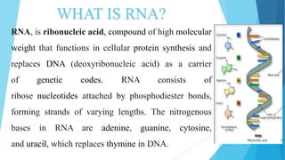 RNA Transcription.pdf