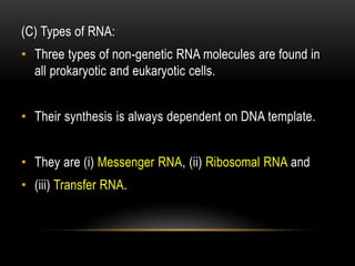 RNA.- a short view into sturcture and function of RNA | PPTX