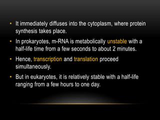 RNA.- a short view into sturcture and function of RNA | PPT