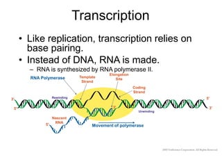 Comprehensive Overview of RNA Secondary Structure and Its Role in ...