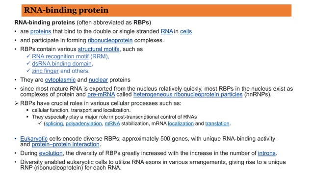 Rna Protein Interactions Briefpptx Programming Languages Computing