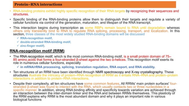 RNA-Protein interactions-brief.pptx | Programming Languages | Computing