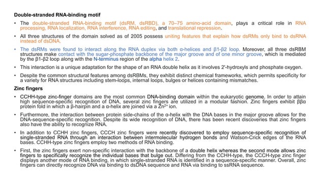 RNA-Protein interactions-brief.pptx | Programming Languages | Computing