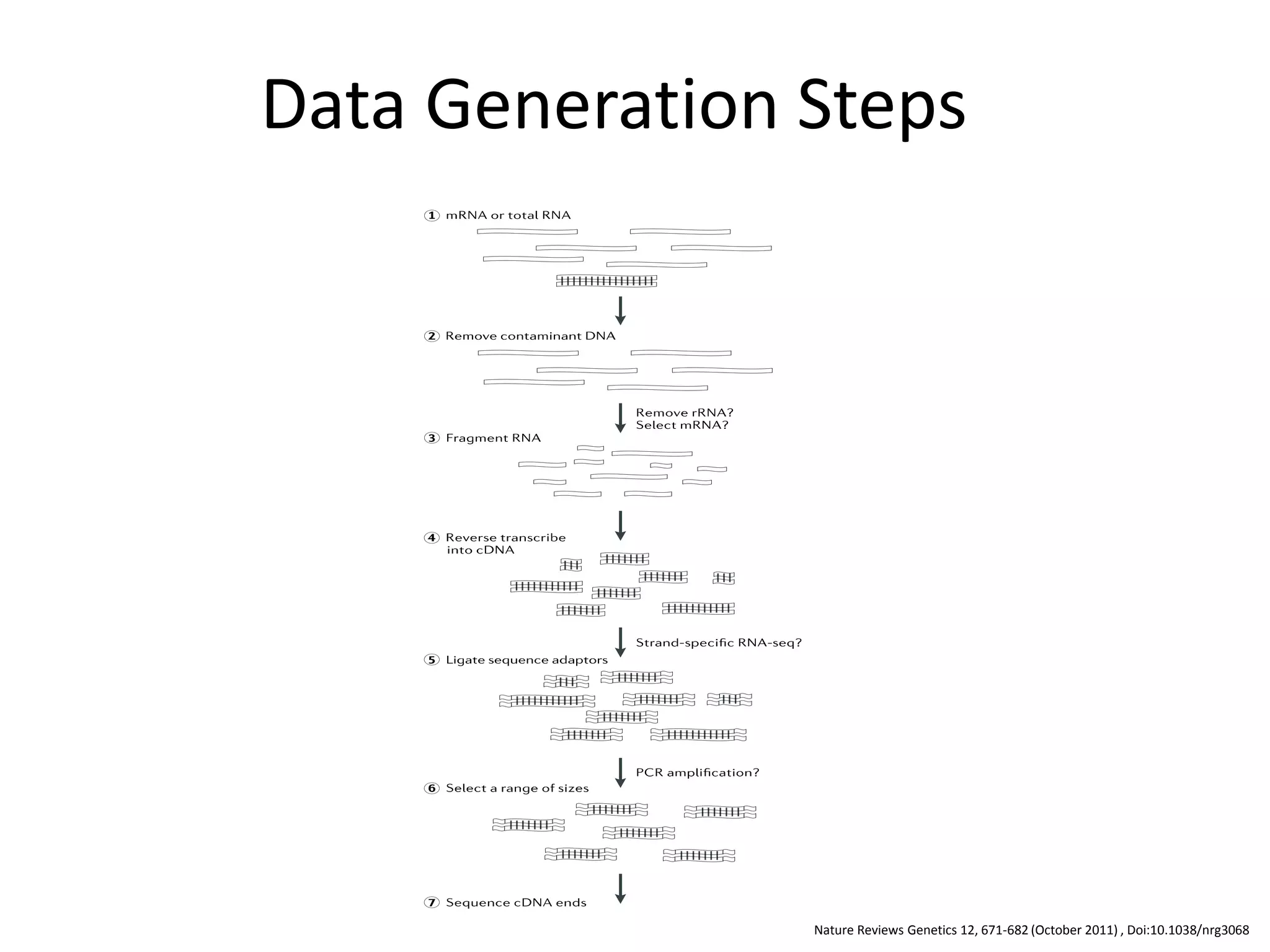 RNASeq - Analysis Pipeline for Differential Expression | PPT