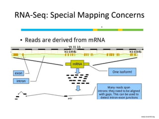 RNASeq - Analysis Pipeline for Differential Expression | PPTX