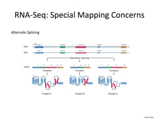 RNASeq - Analysis Pipeline for Differential Expression | PPTX
