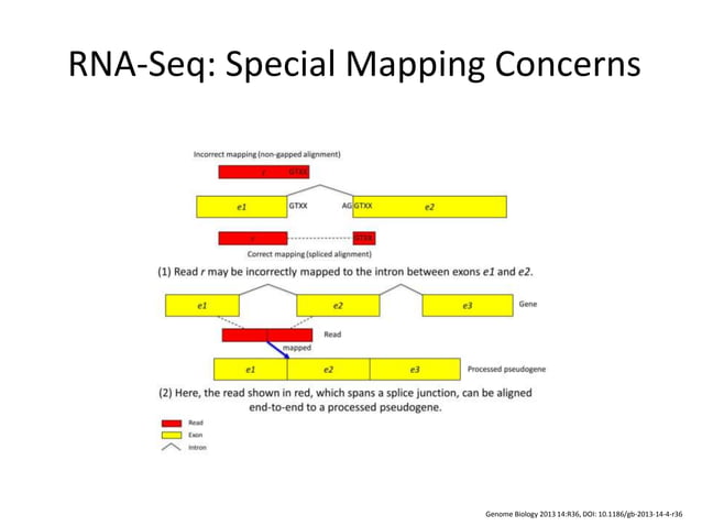 RNASeq - Analysis Pipeline for Differential Expression | PPTX | Genetics | Science