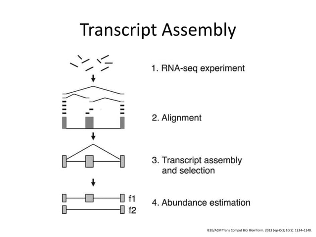 RNASeq - Analysis Pipeline for Differential Expression | PPTX | Genetics | Science