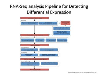 RNASeq - Analysis Pipeline for Differential Expression | PPTX