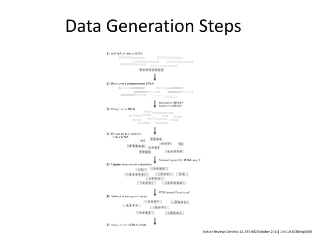 RNASeq - Analysis Pipeline for Differential Expression | PPTX | Genetics | Science