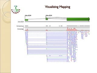 Rna seq pipeline | PPT