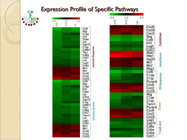 Rna seq pipeline | PPT
