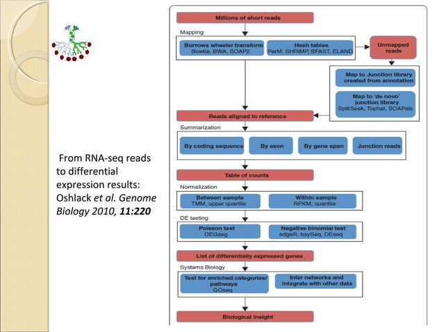 Rna seq pipeline | PPT