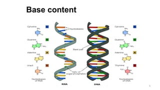 RNA structure and functions | PPT