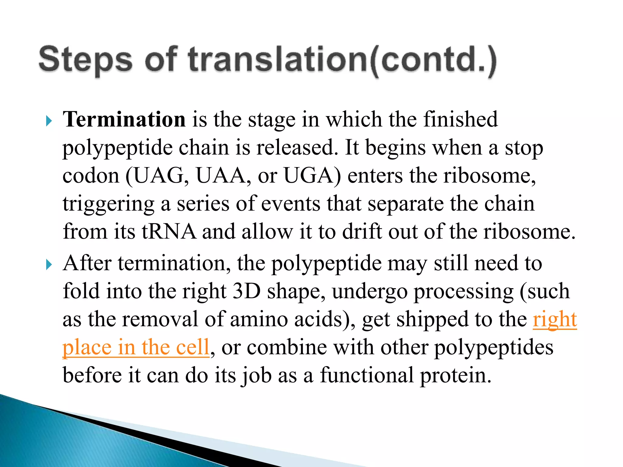 RNA- STRUCTURE AND FUNCTIONS | PPTX