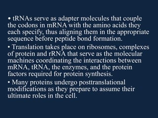 RNA- STRUCTURE AND FUNCTIONS | PPTX