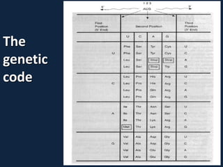 RNA- STRUCTURE AND FUNCTIONS | PPTX
