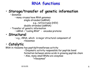 RNA- STRUCTURE AND FUNCTIONS | PPT