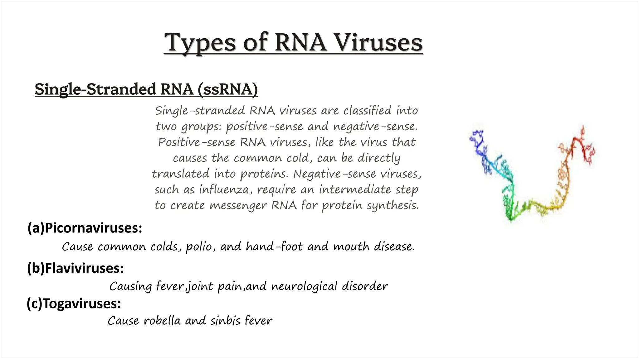 RNA-Viruses-Understanding-Their-Impact-on-Health-and-Evolution.pdf