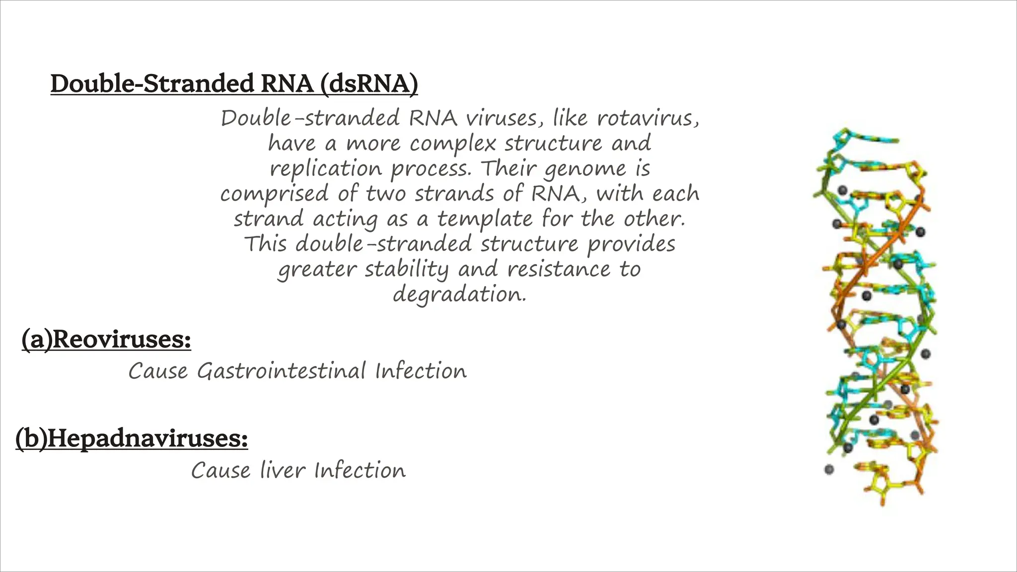 RNA-Viruses-Understanding-Their-Impact-on-Health-and-Evolution.pdf