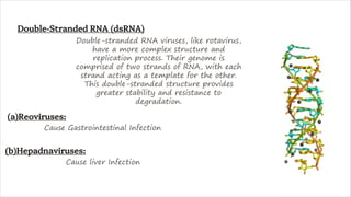 RNA-Viruses-Understanding-Their-Impact-on-Health-and-Evolution.pdf