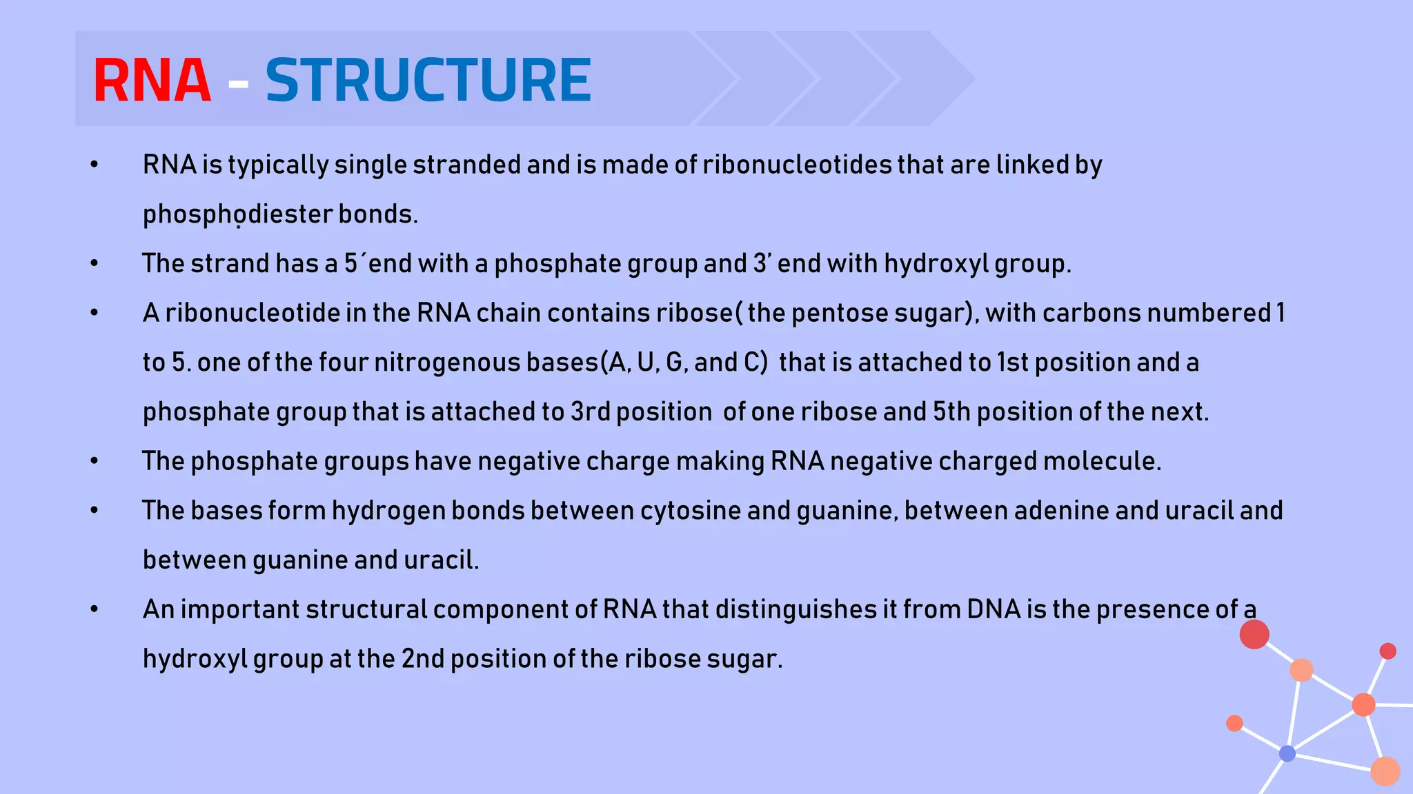 RNA-Ribonucleic Acid PPT | PPT