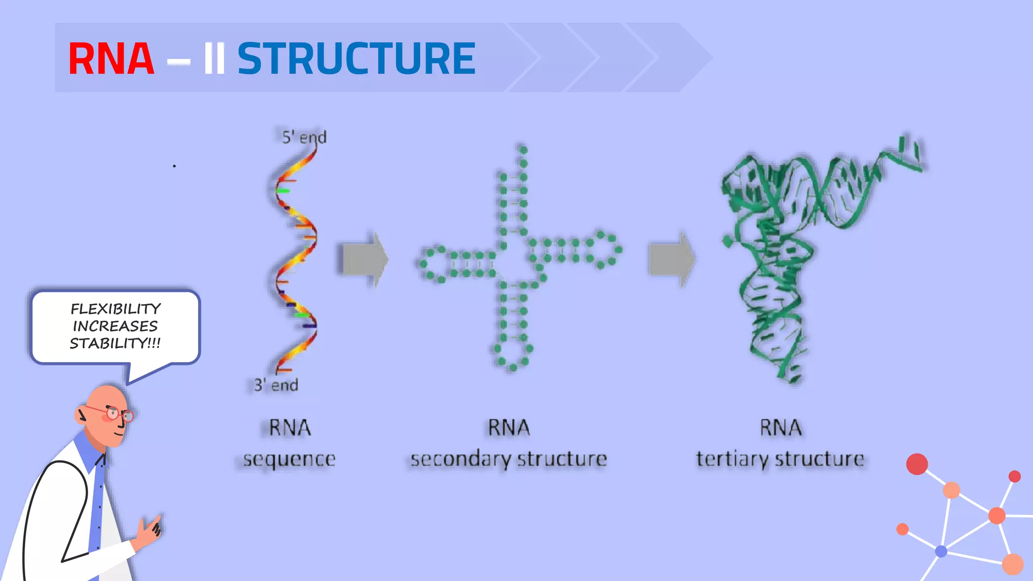 RNA-Ribonucleic Acid PPT | PPT