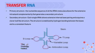 RNA-Ribonucleic Acid PPT | PPT