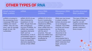 RNA-Ribonucleic Acid PPT | PPT