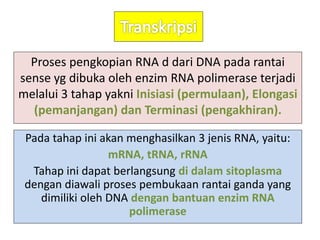 PPT RNA ( ALIFA & SAKIRO) | PPTX