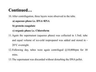 RNA, DNA Isolation and cDNA synthesis.pptx