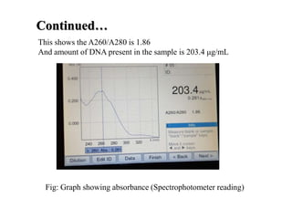 RNA, DNA Isolation and cDNA synthesis.pptx