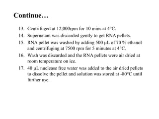 RNA, DNA Isolation and cDNA synthesis.pptx