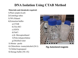 RNA, DNA Isolation and cDNA synthesis.pptx