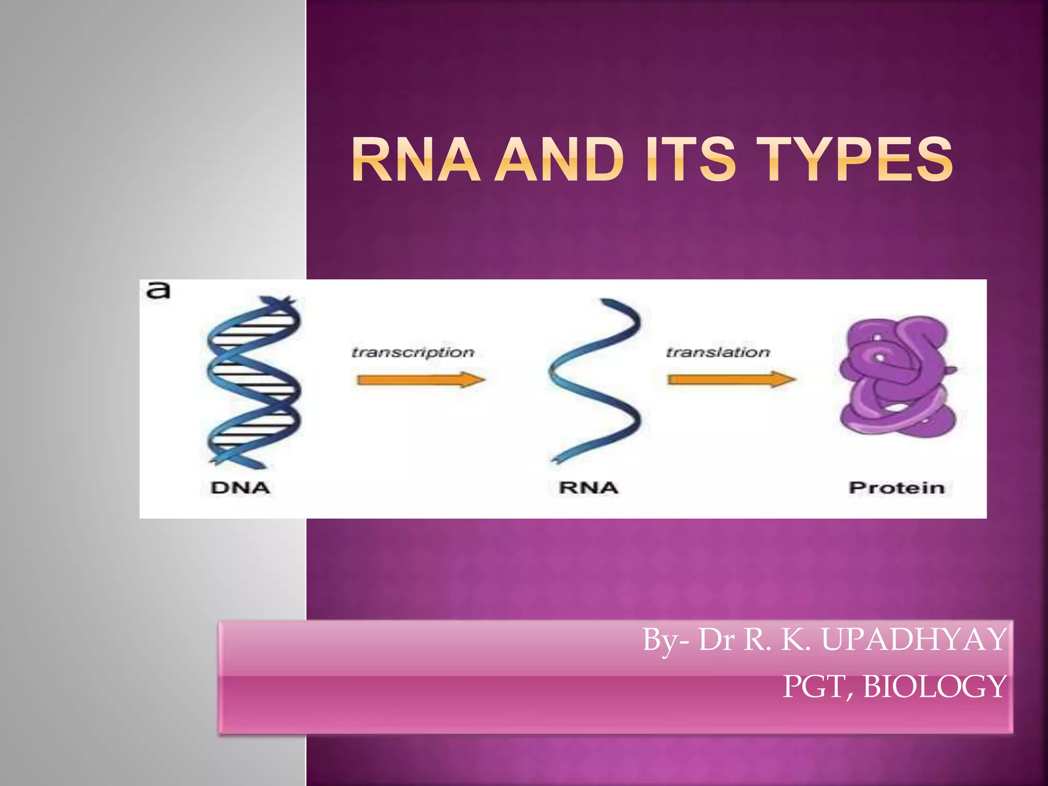 RNA AND ITS TYPES | PPTX