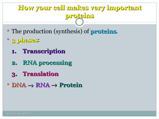 Rna and protein synthesis | PPT