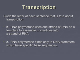 Rna and protein synthesis | PPT