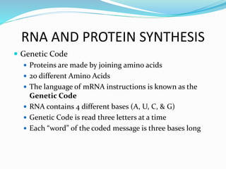 RNA AND PROTEIN SYNTHESIS.pptx