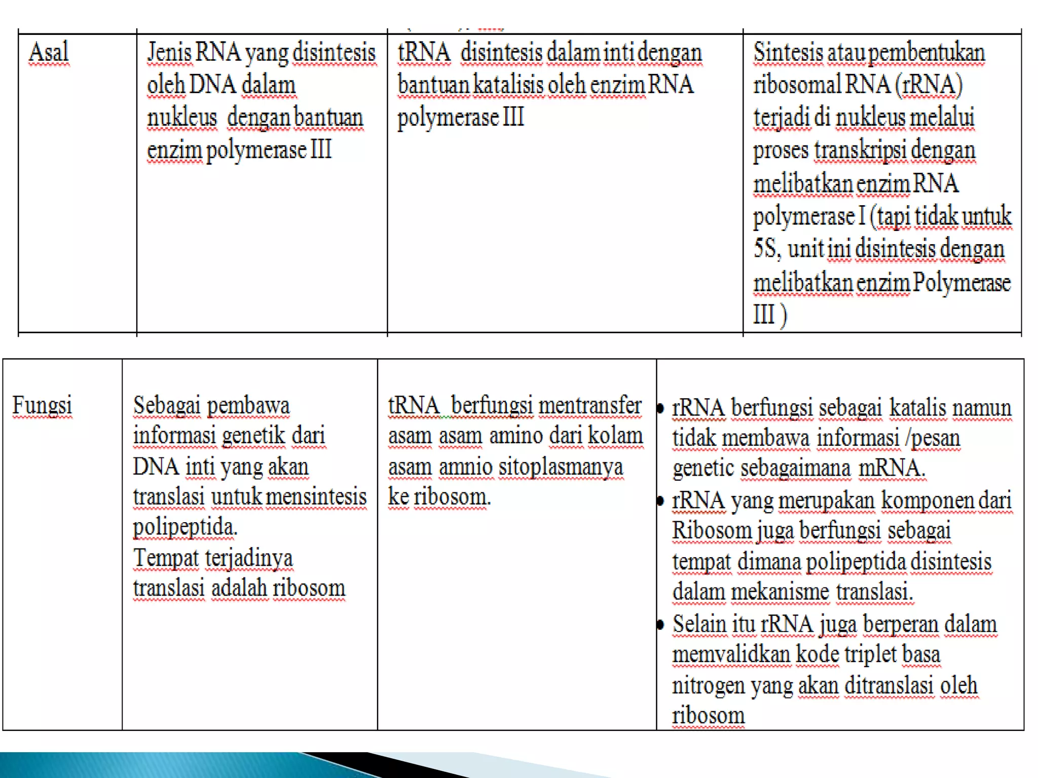 RNA biokimia | PPTX
