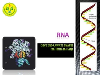 RNA biokimia | PPTX