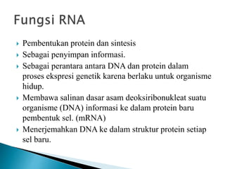 RNA biokimia | PPTX